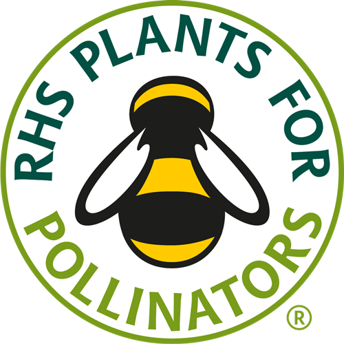 RP Seeds: RHS Plants for Pollinators Selection