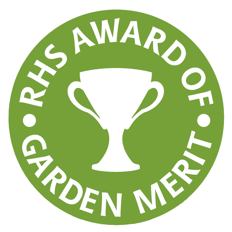 RP Seeds: RHS Award of Garden Merit Winning Seeds