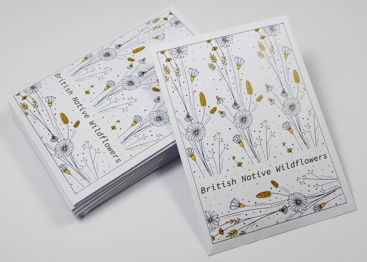 Wholesale Seed Packets - Barcoded ready for sale - Prices from 92p ex vat. – RP Seeds